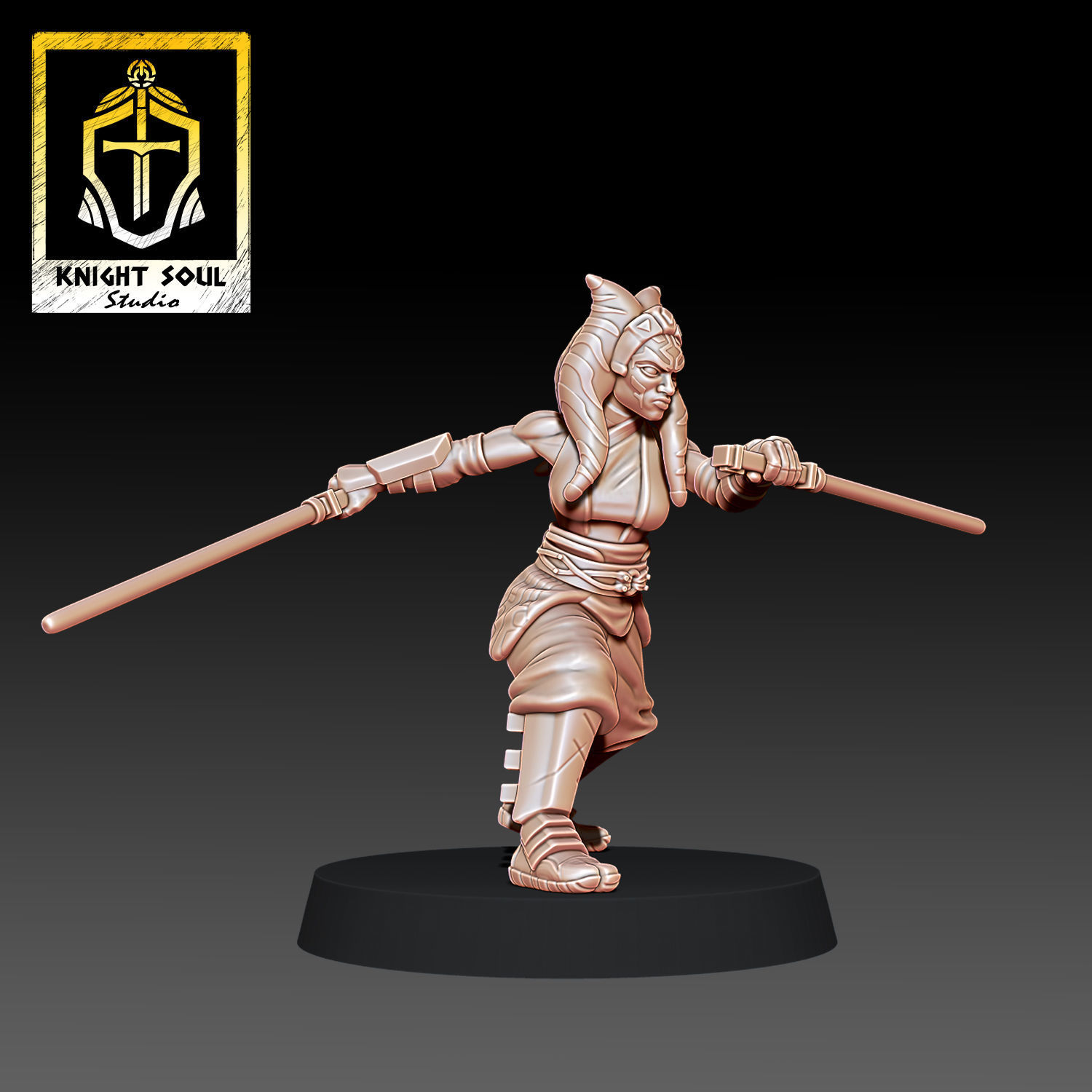 The Ronin 3D model 3D printable | CGTrader