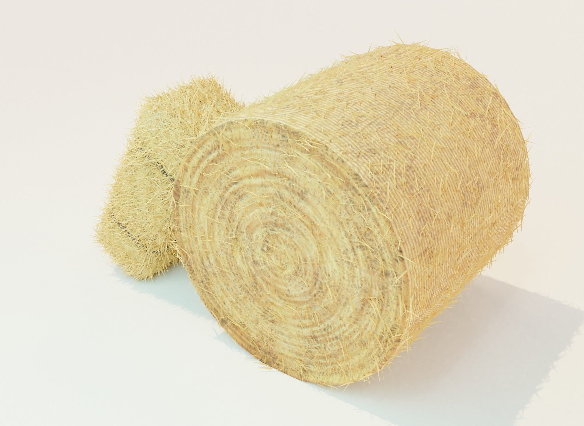 Hay Bales 3D Model Collection | CGTrader