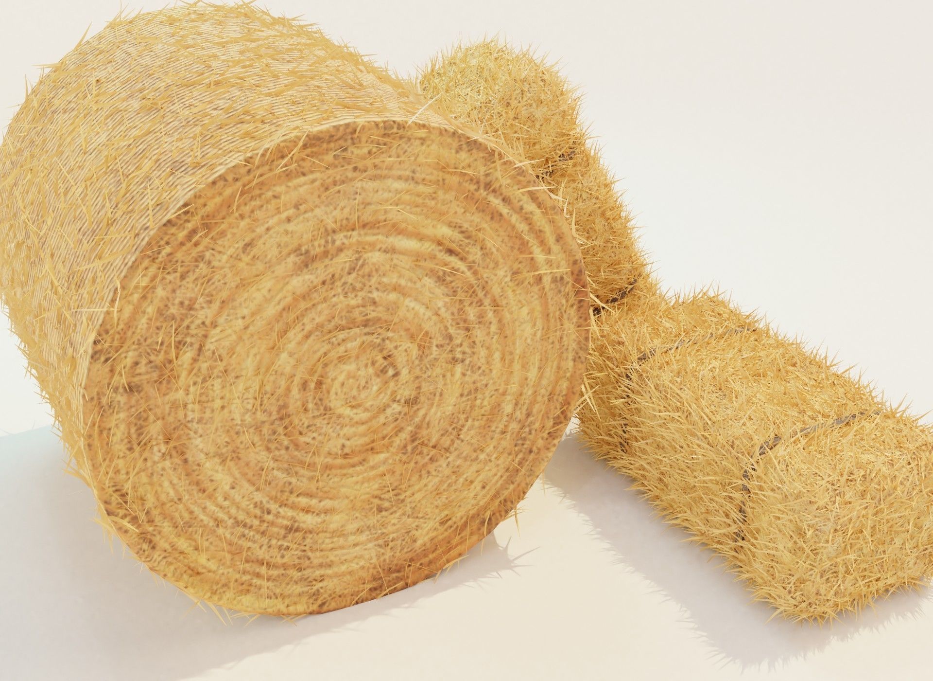 Hay Bales 3D Model Collection | CGTrader