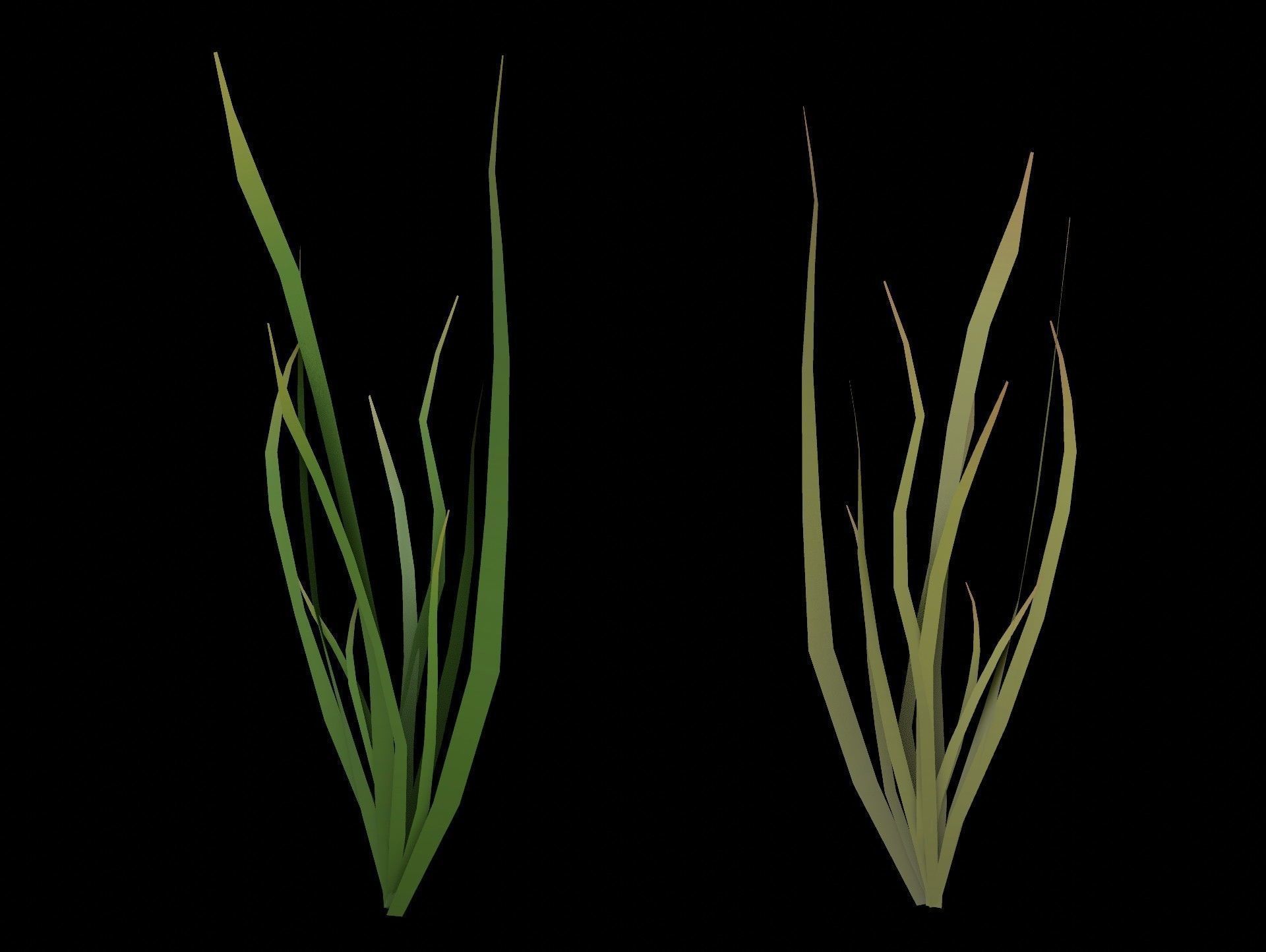 3D model Grass Animated Dry and Fresh VR / AR / low-poly | CGTrader
