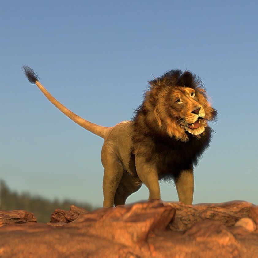 Lion King 3D model rigged | CGTrader
