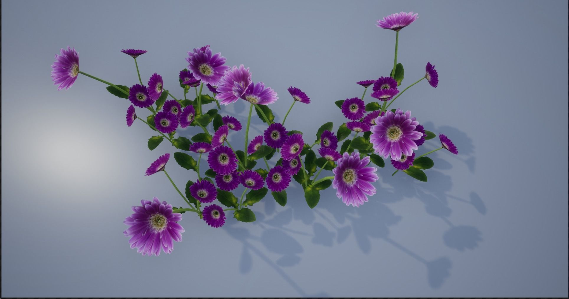 3D model 4K Purple Flower Plant VR / AR / low-poly | CGTrader