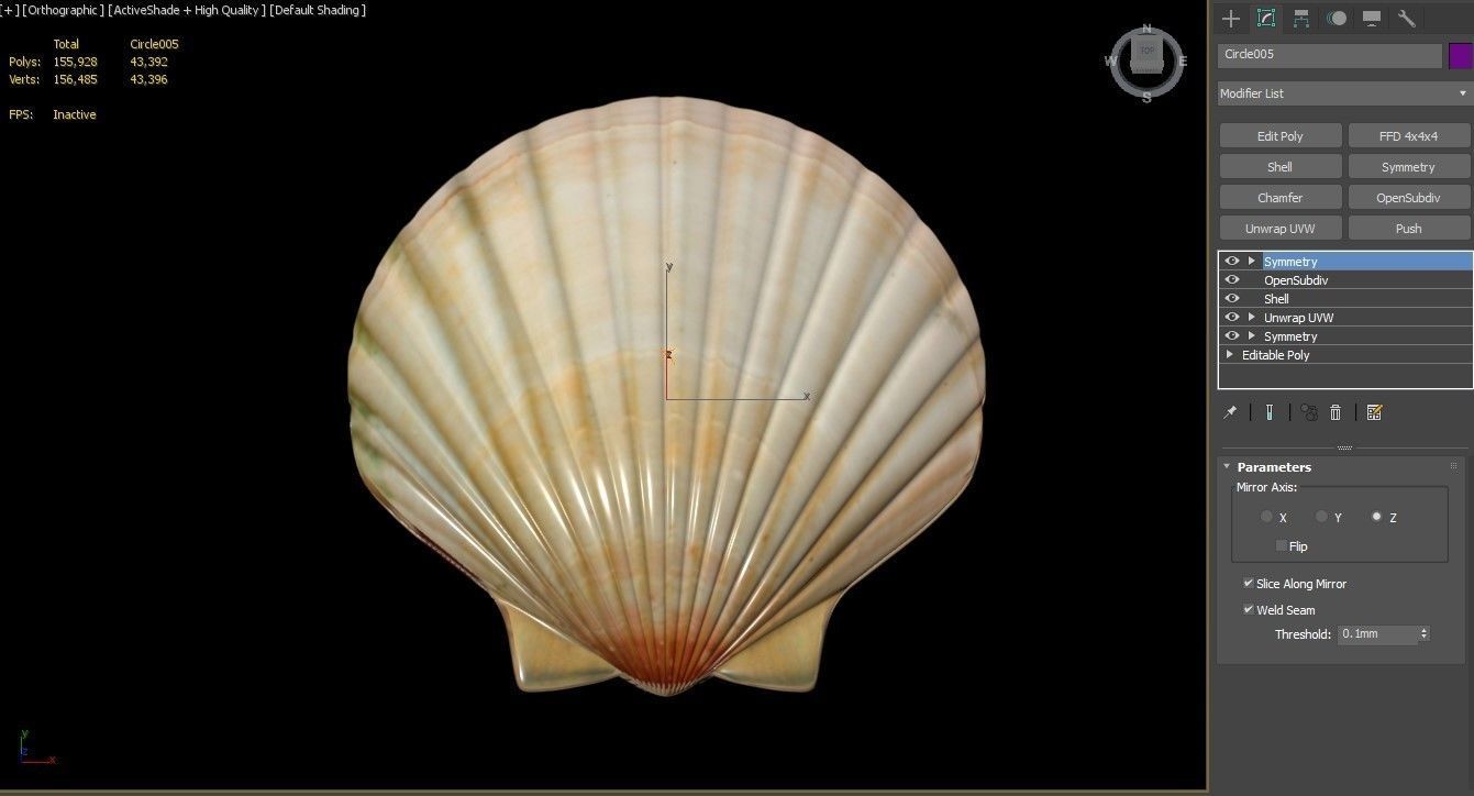 3D model Seashell 3d model VR / AR / low-poly | CGTrader