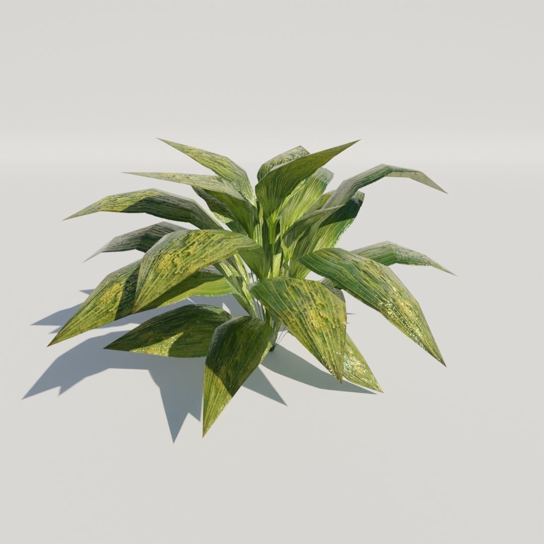 3D model Tropical Plants Pack VR / AR / low-poly | CGTrader