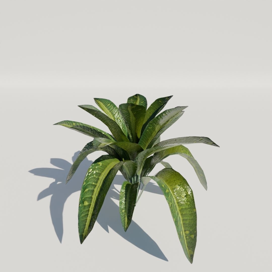 3D model Tropical Plants Pack VR / AR / low-poly | CGTrader