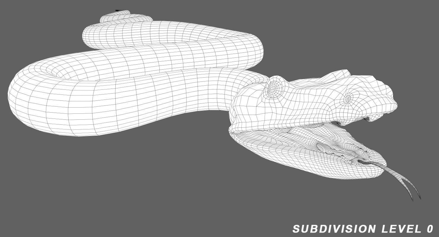 3D model Snake VR / AR / low-poly rigged | CGTrader