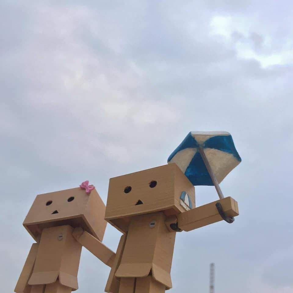 DANBOARD JOINTED PRINTABLE 3D model 3D printable | CGTrader