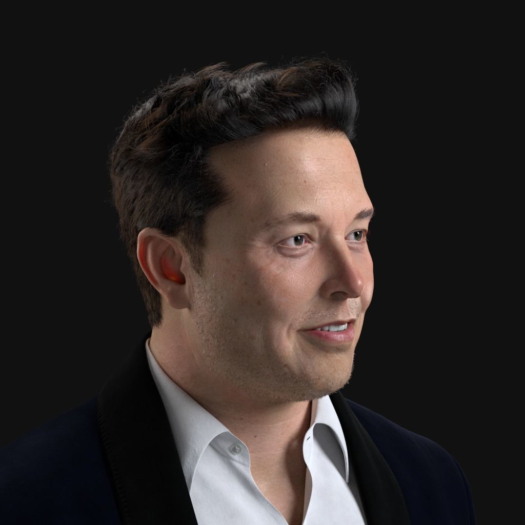 Elon Musk 3d 3D model | CGTrader