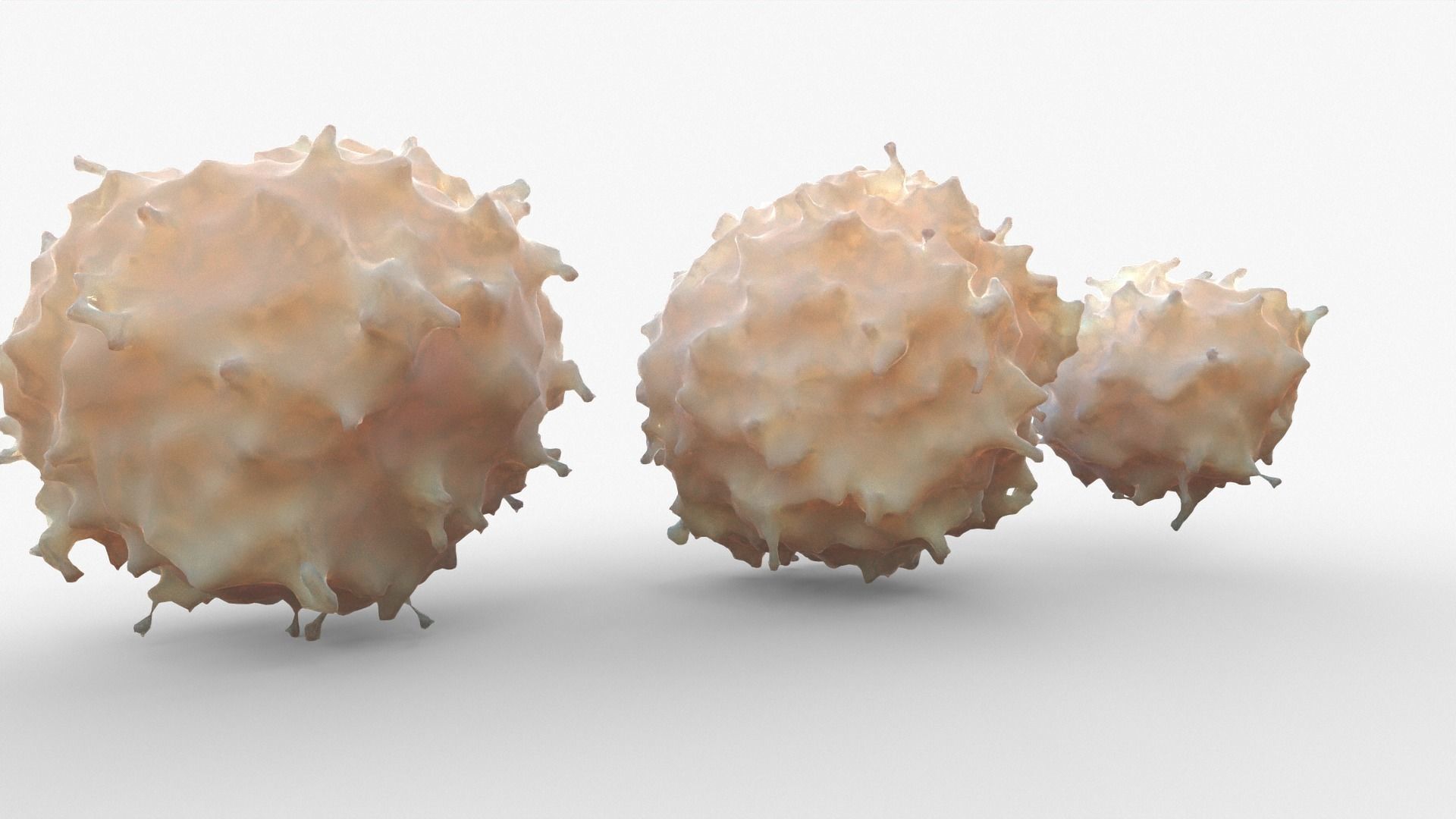 Lymphocytes cell 3D model | CGTrader