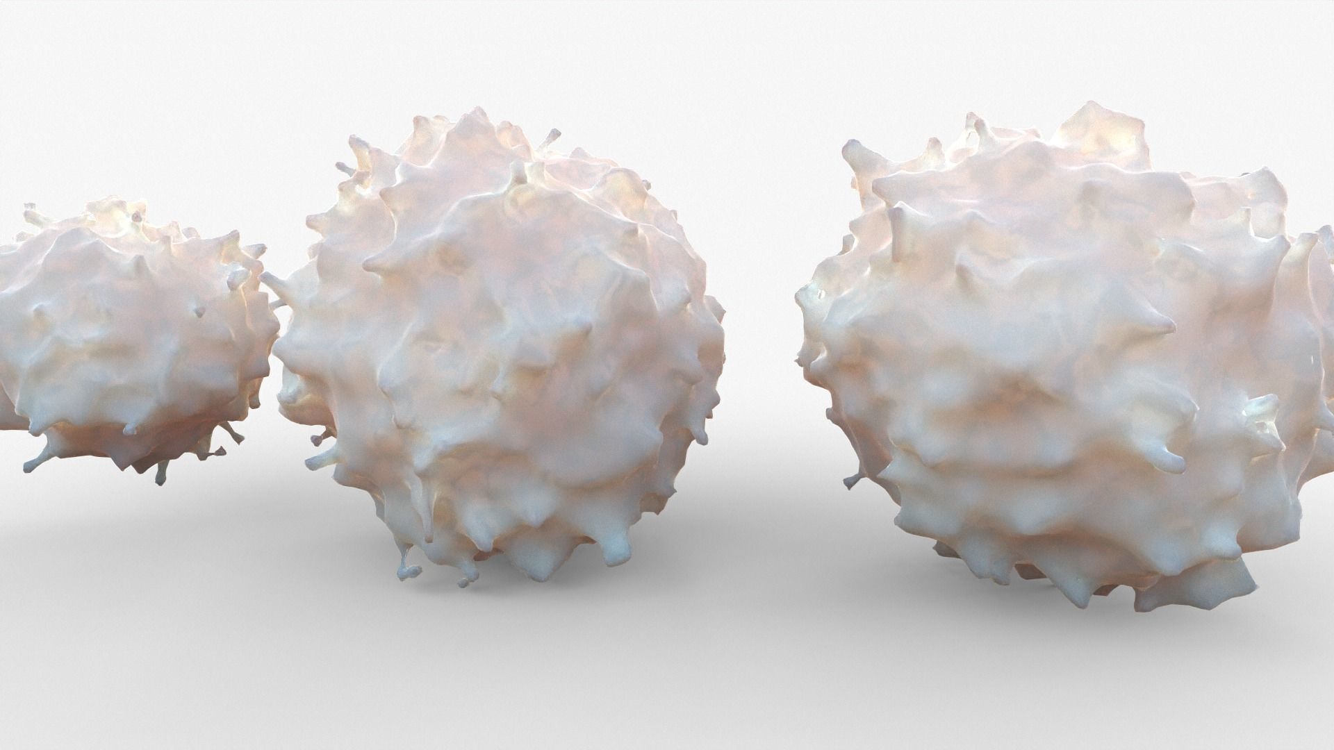 Lymphocytes cell 3D model | CGTrader