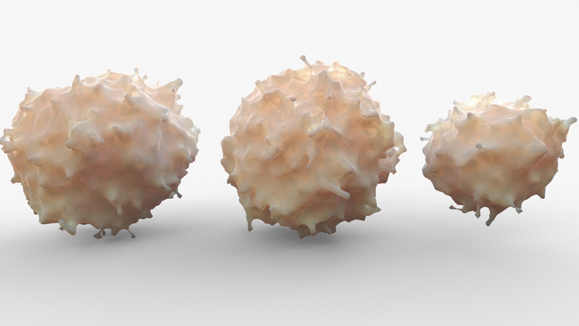 Lymphocytes cell 3D model | CGTrader