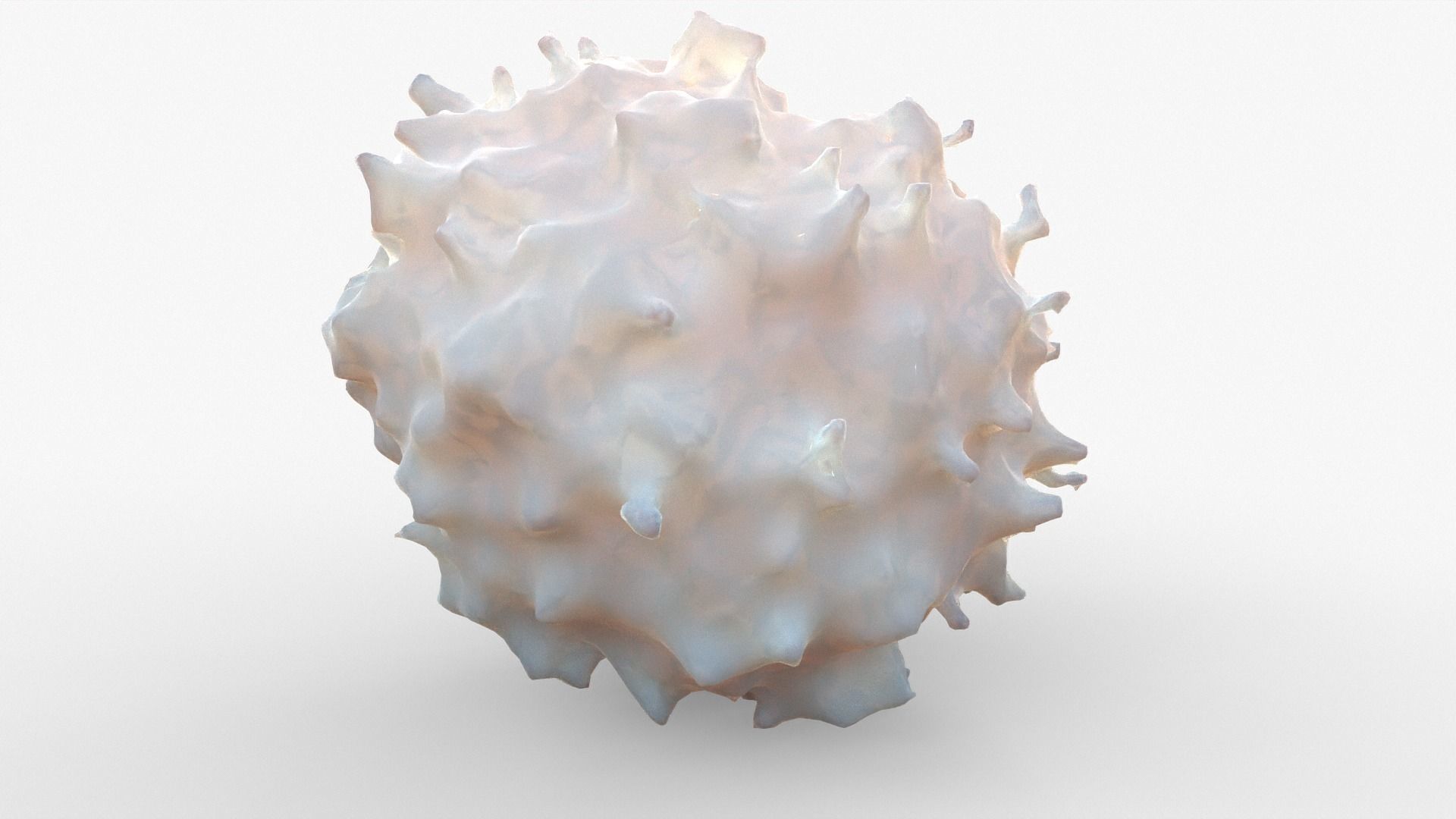 Lymphocytes cell 3D model | CGTrader