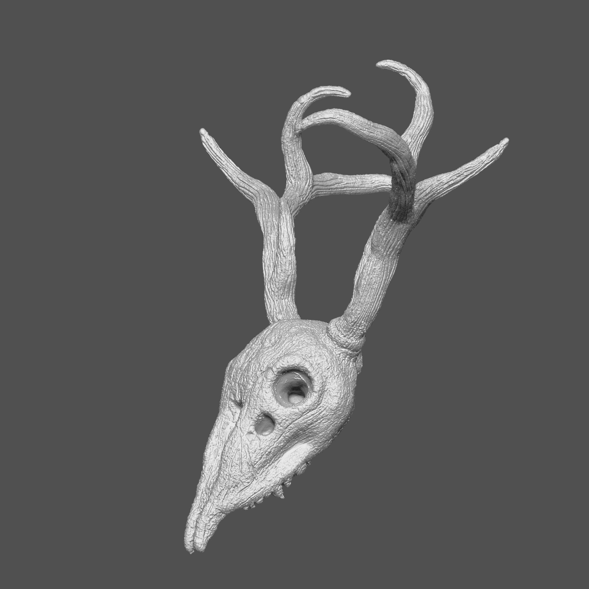 Stag Skull 3D model 3D printable | CGTrader