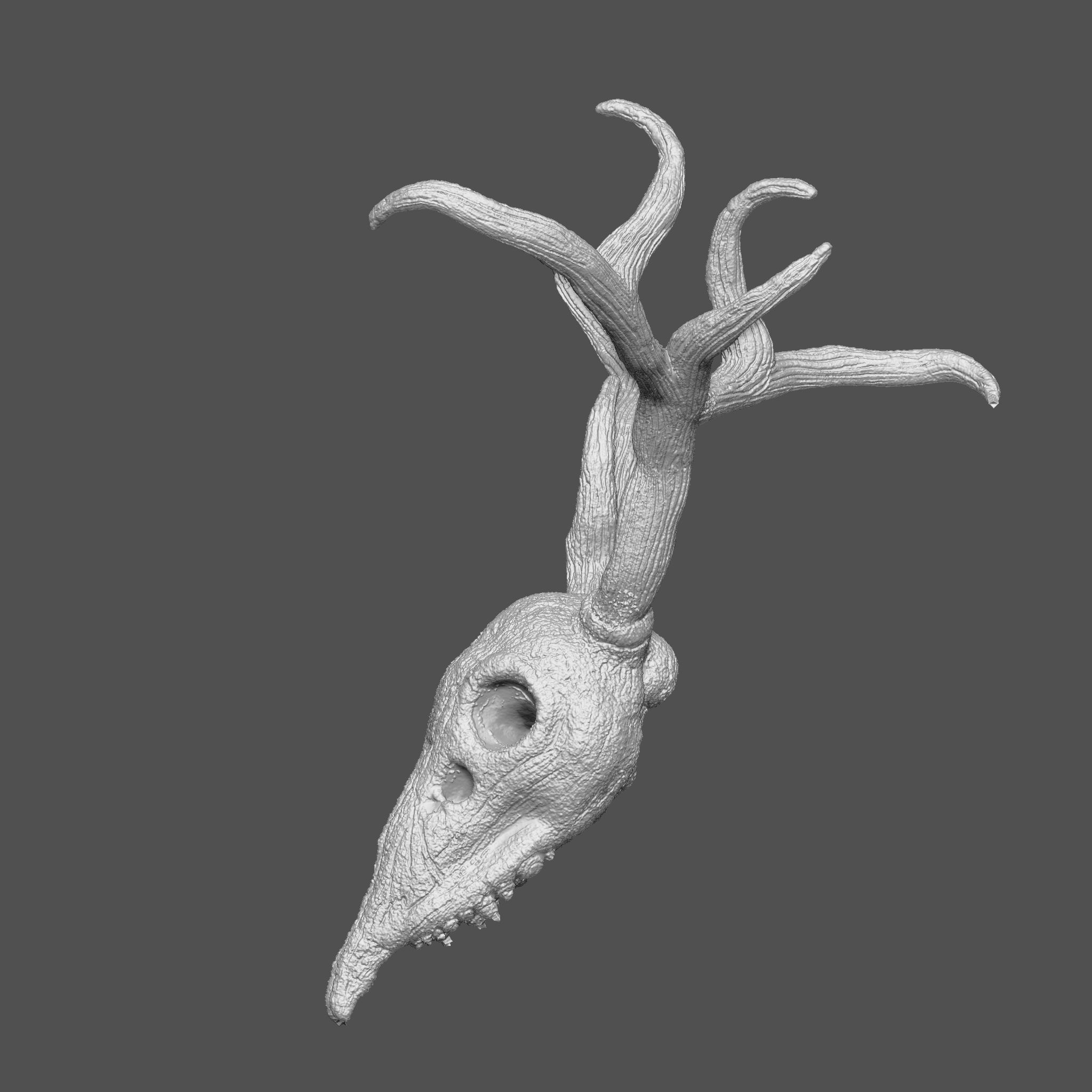 Stag Skull 3D model 3D printable | CGTrader