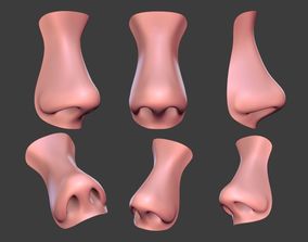 Female nose human 3D Models | CGTrader