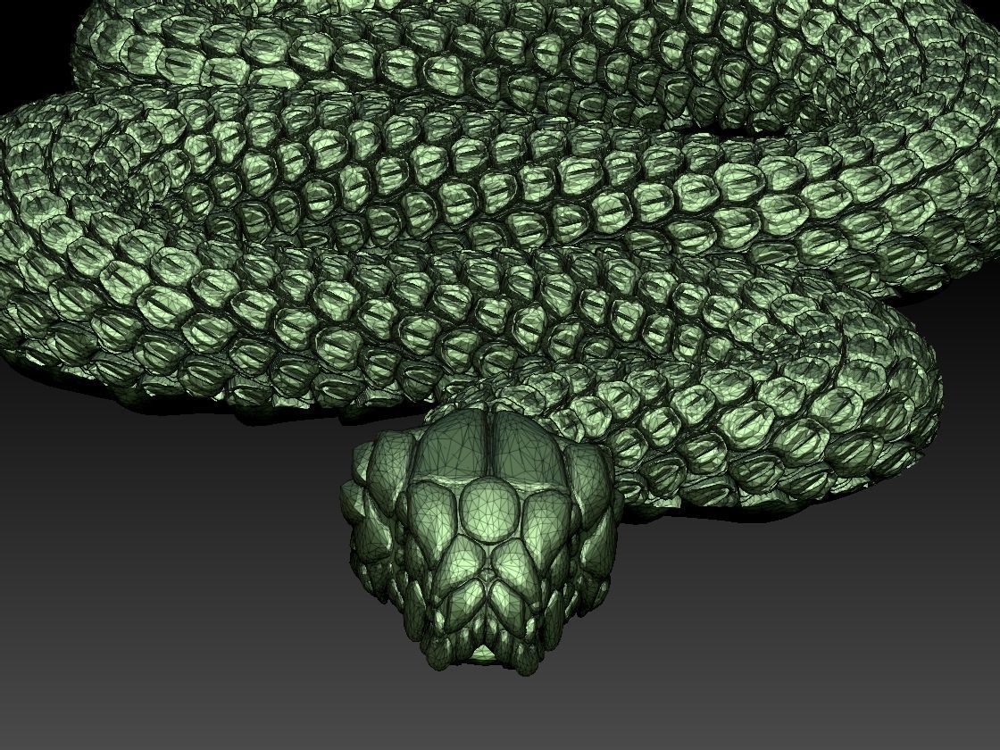 snake 3D model 3D printable | CGTrader
