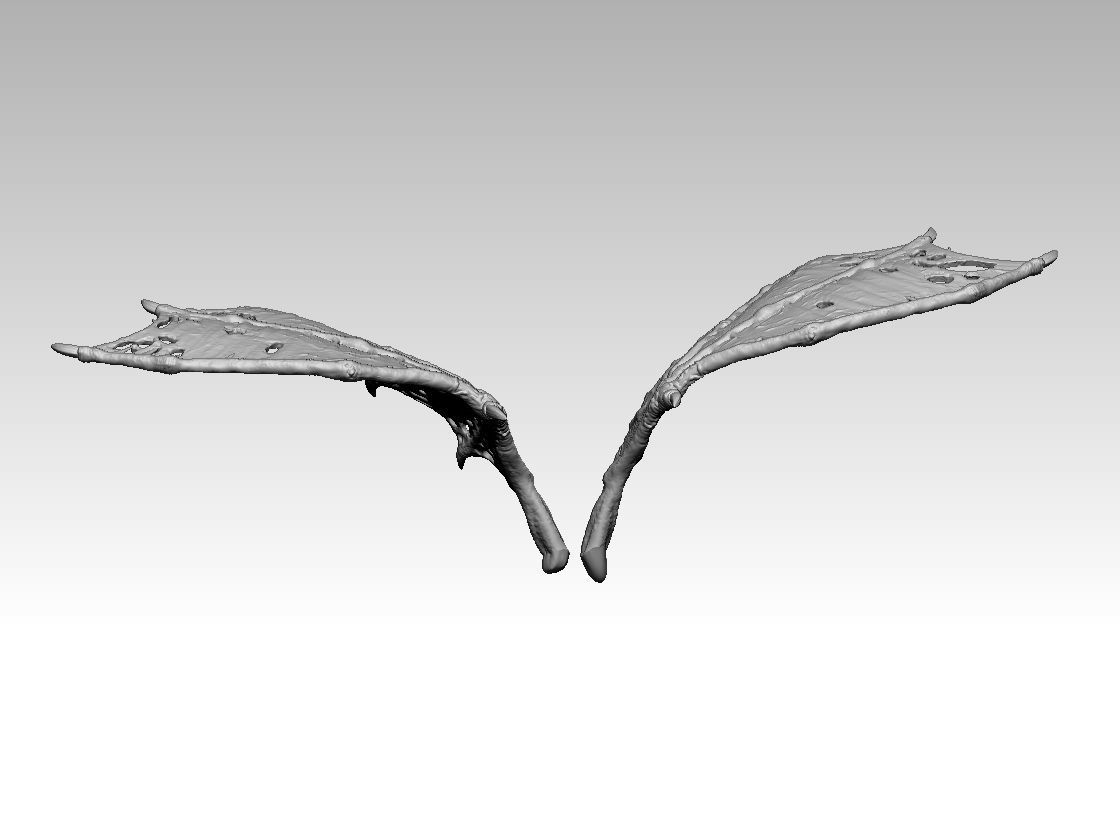 demon wing 3D model 3D printable | CGTrader