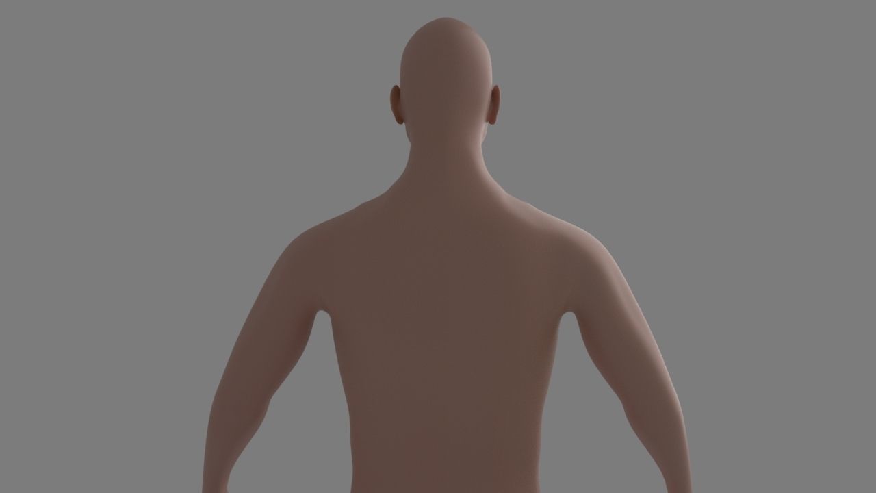 Human Body free 3D model | CGTrader