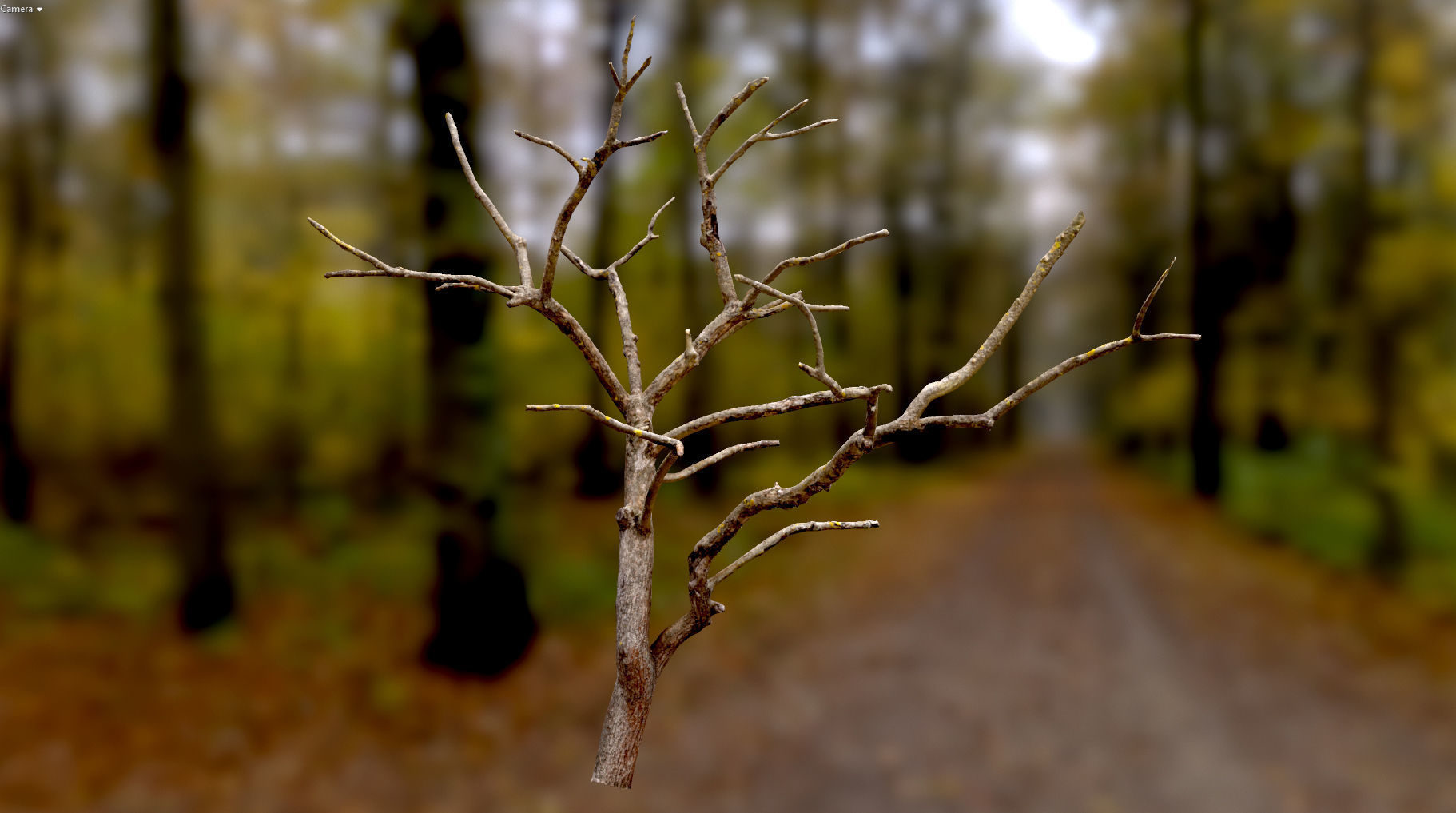 3D model Autumn Dry Apple Tree Scan Full-Size VR / AR / low-poly | CGTrader