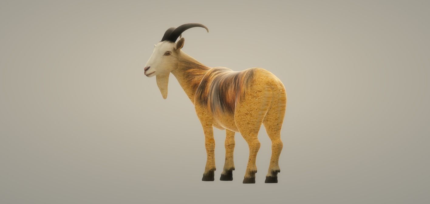Ziege Goat free 3D model 3D printable | CGTrader