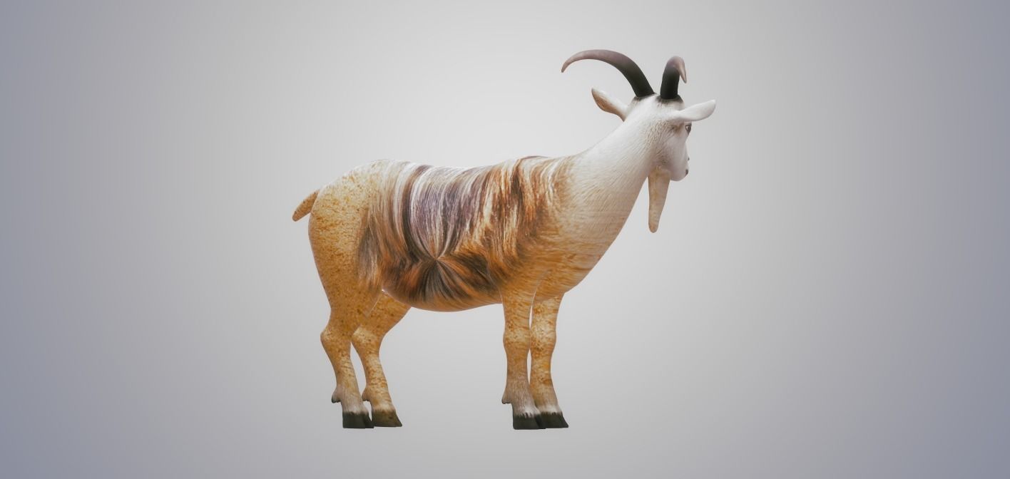 Ziege Goat free 3D model 3D printable | CGTrader
