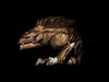 Cerberus one head 3D model | CGTrader