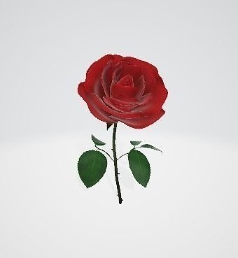 rose flower 3D model | CGTrader