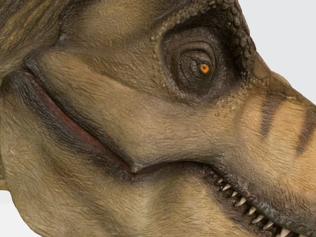 T-Rex head model 3D model | CGTrader