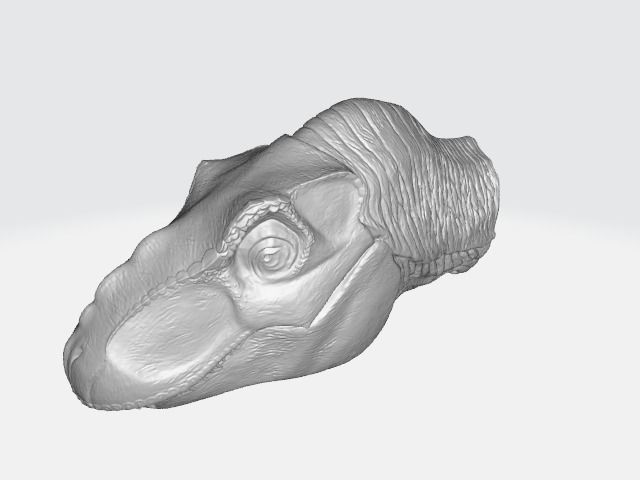 T-Rex head model 3D model | CGTrader