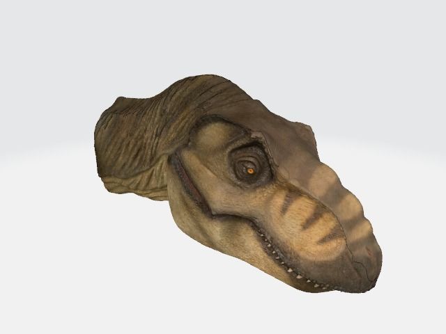 T-Rex head model 3D model | CGTrader