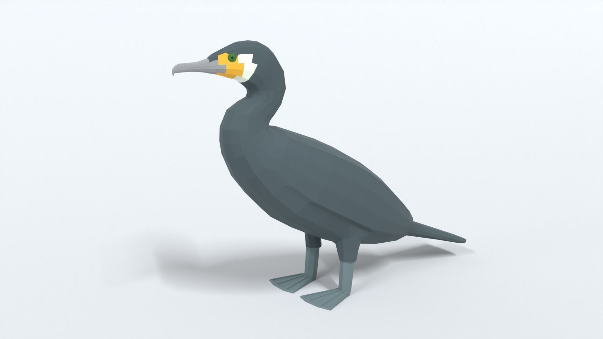 3D model Low Poly Cartoon Great Cormorant VR / AR / low-poly | CGTrader