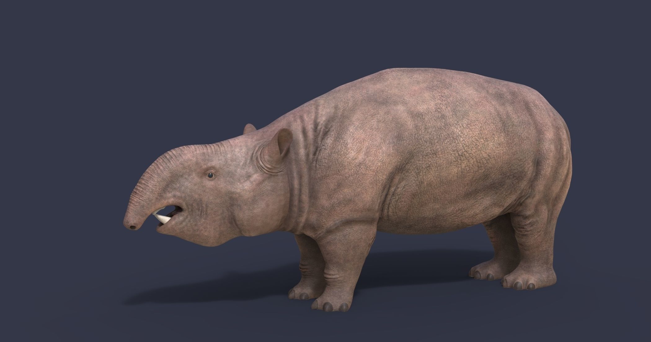 3D model Pyrotherium romeroi VR / AR / low-poly | CGTrader