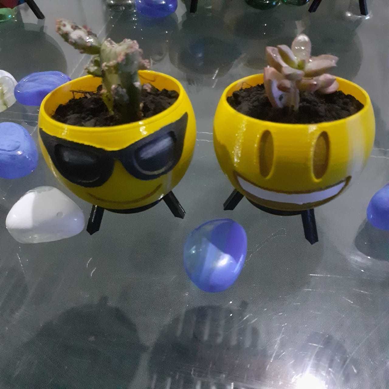 Emoji Flower Pot 3D model 3D printable | CGTrader