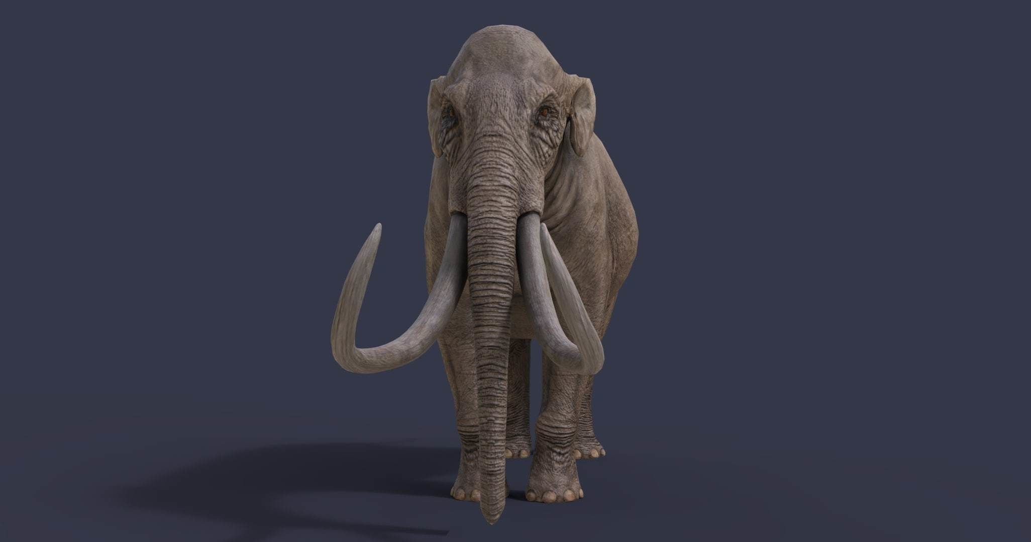 Extinct animals pack version 15 3D model | CGTrader