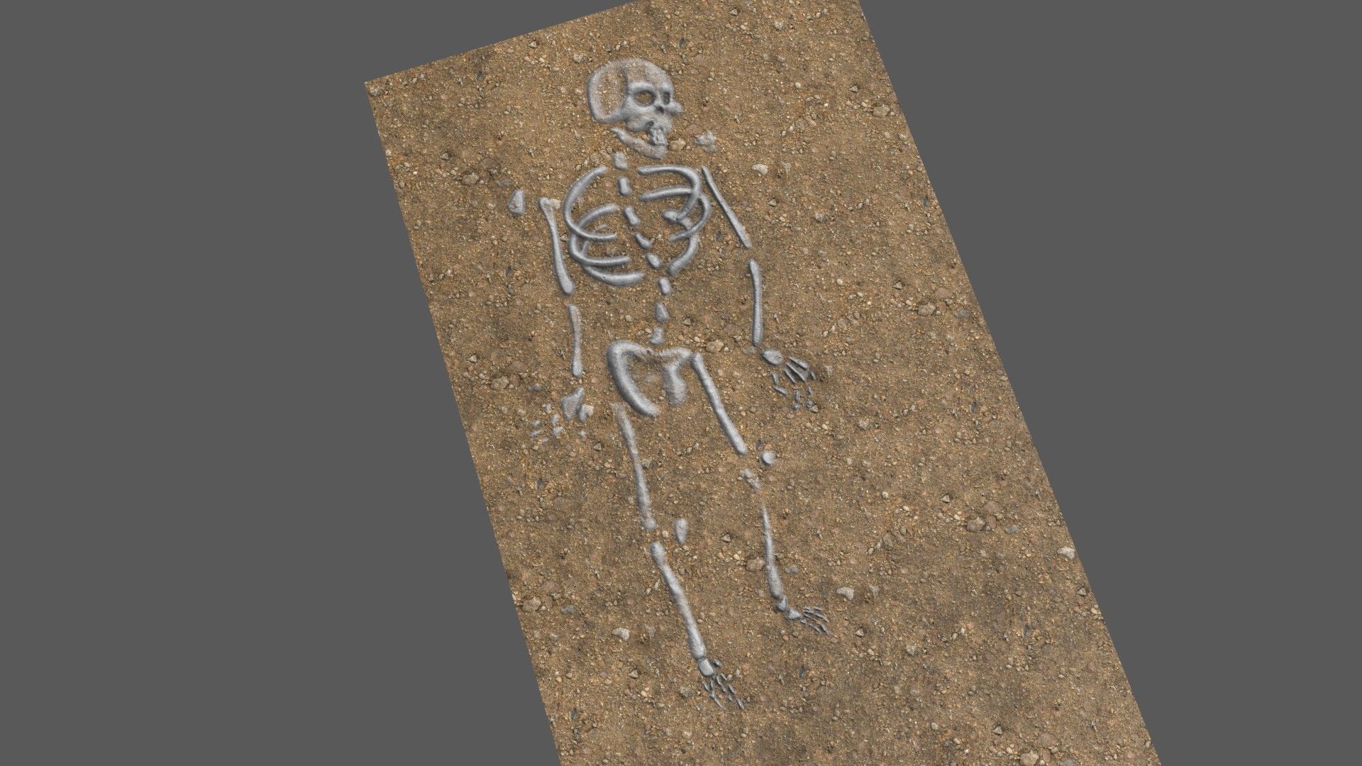3D model human skeleton remains VR / AR / low-poly | CGTrader