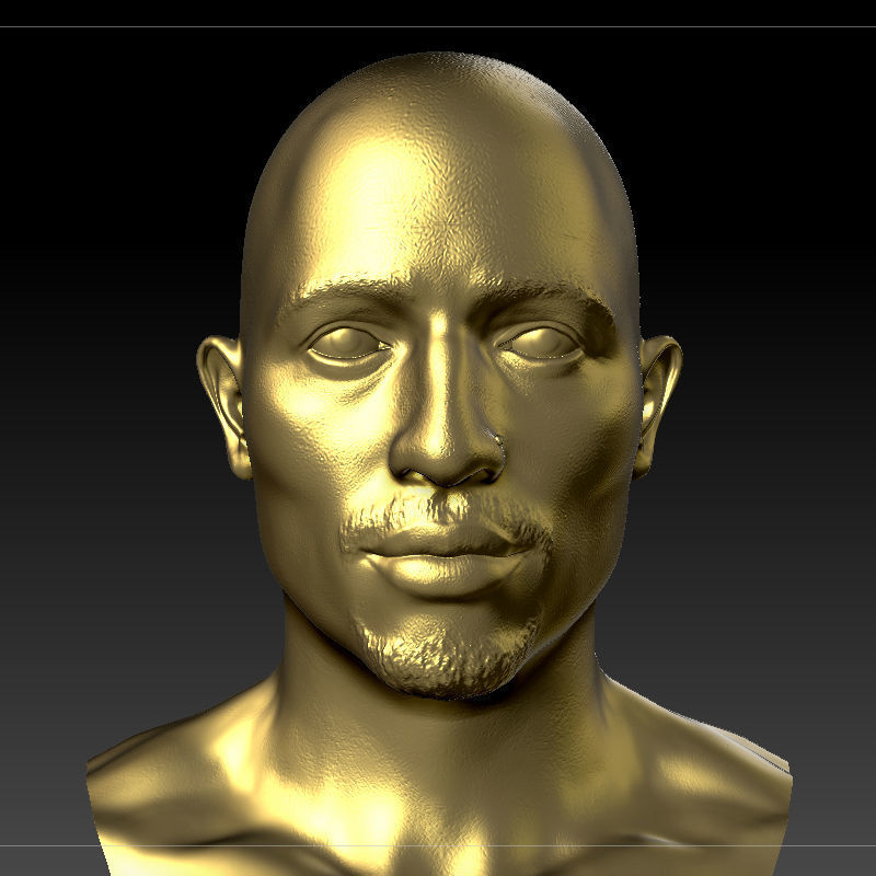 Tupac 2pac Shakur Bust Sculpture 3D model 3D printable | CGTrader