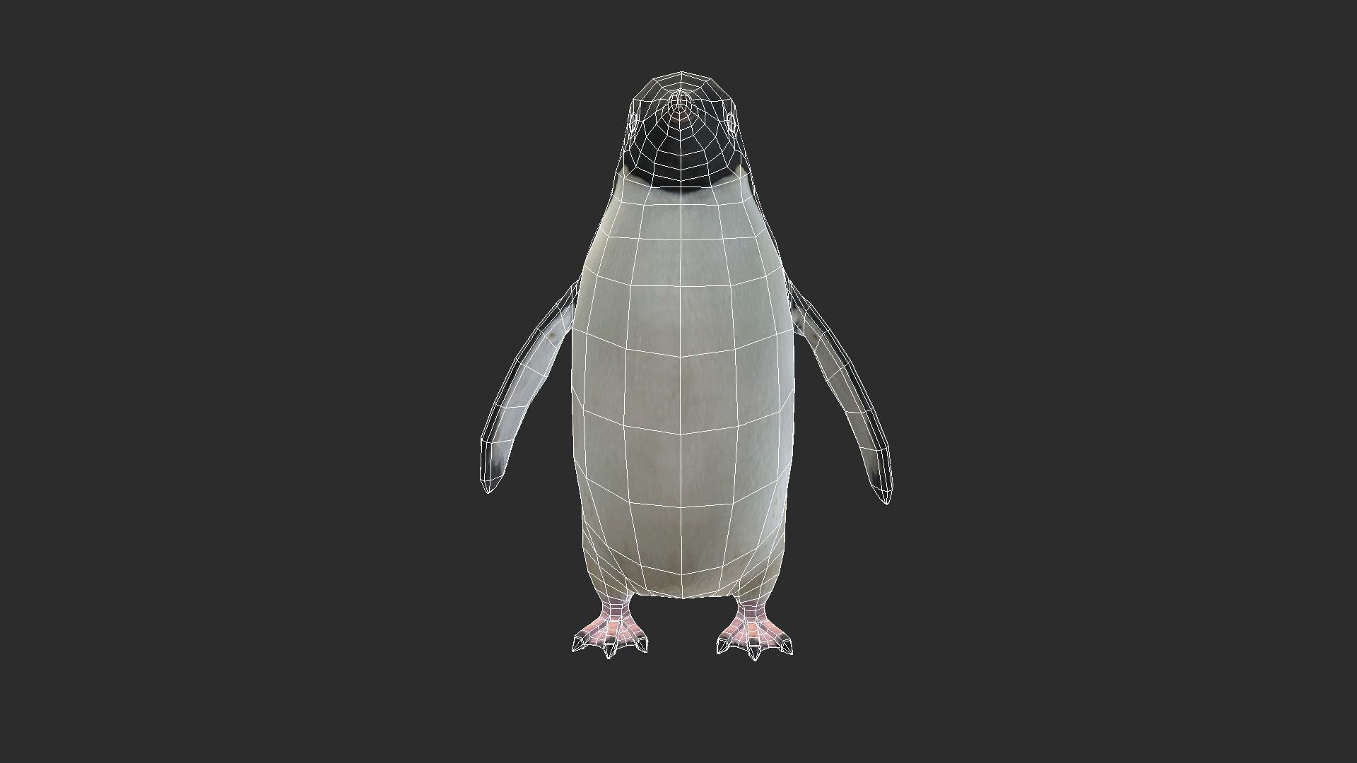 3D model Adelie Penguin - Animated VR / AR / low-poly | CGTrader