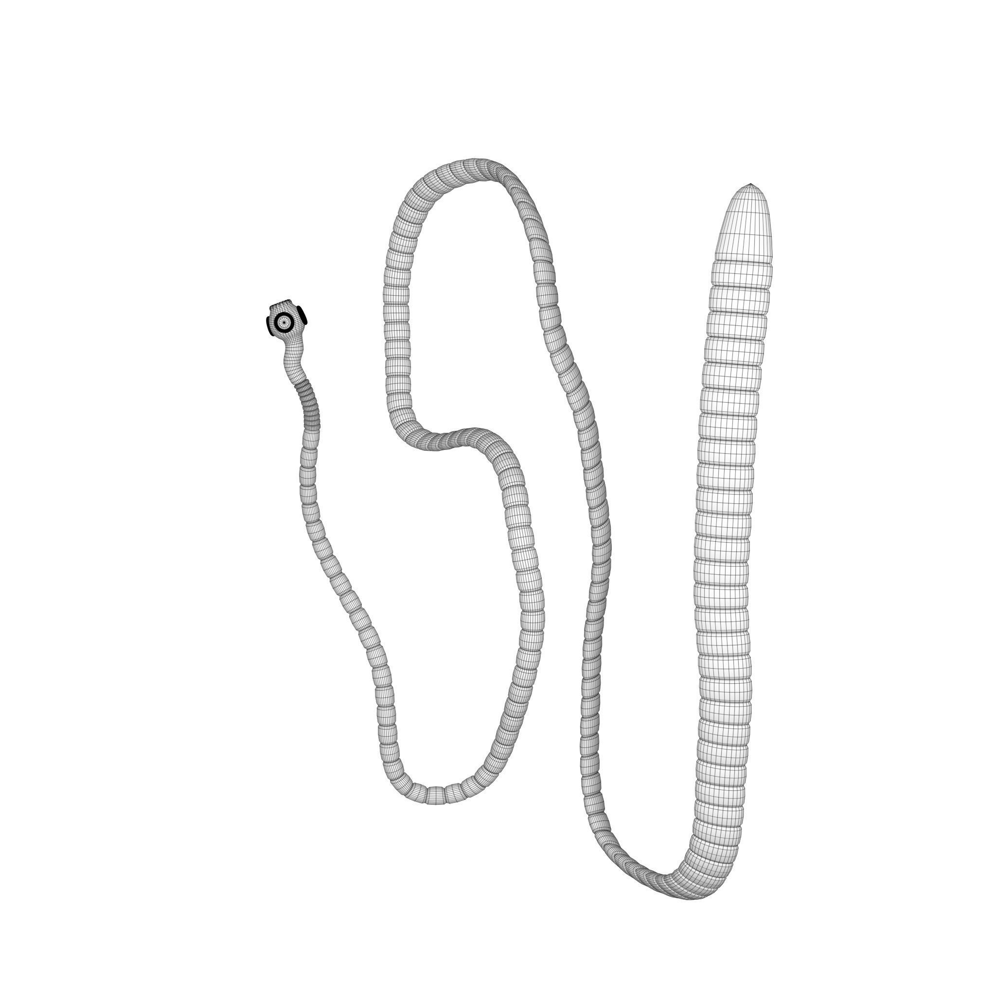 TapeWorm snake chain 3D model | CGTrader