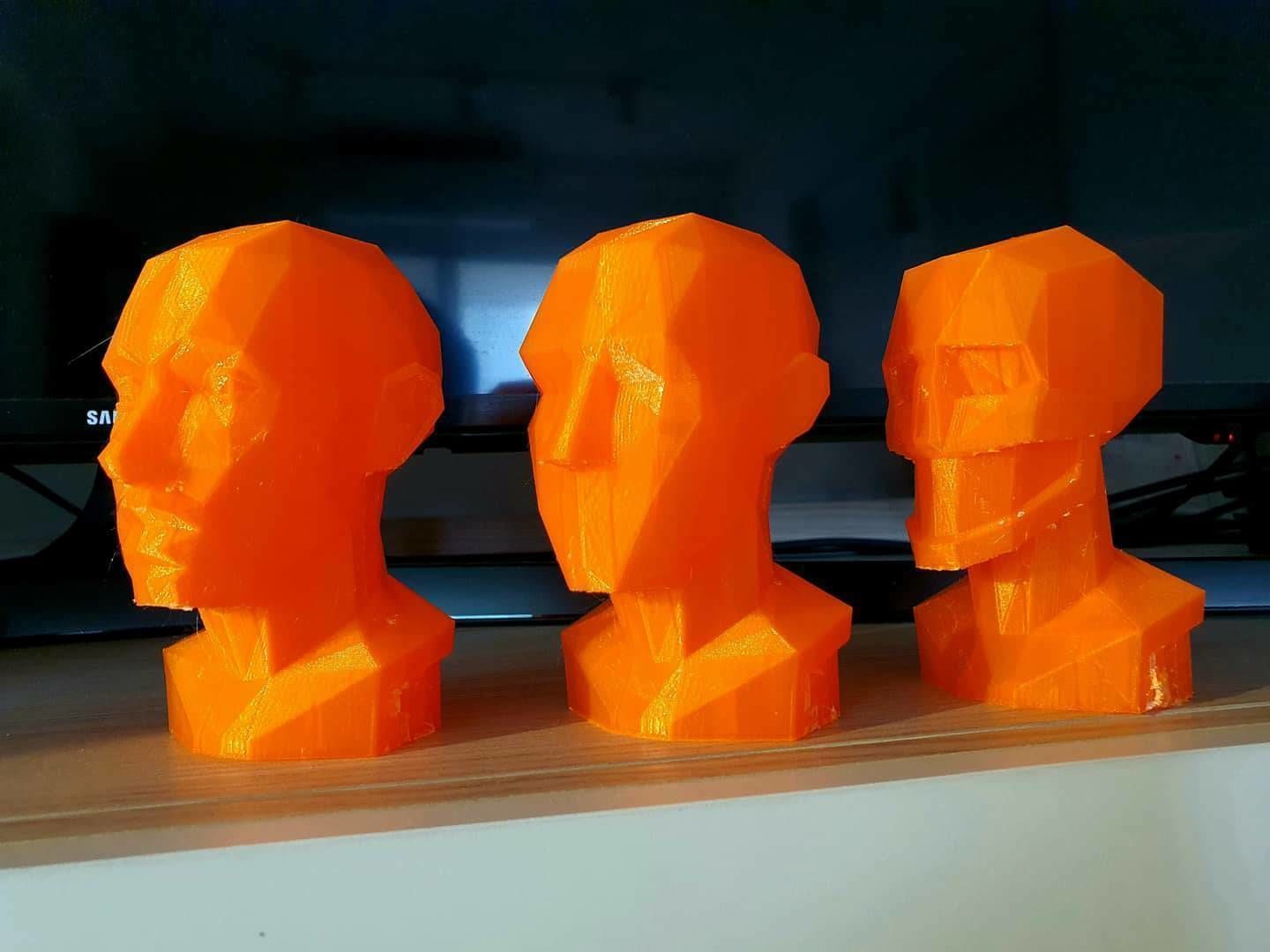 LOW POLYGON PLANE OF HEAD 3D PRINT MODEL 3D model 3D printable | CGTrader
