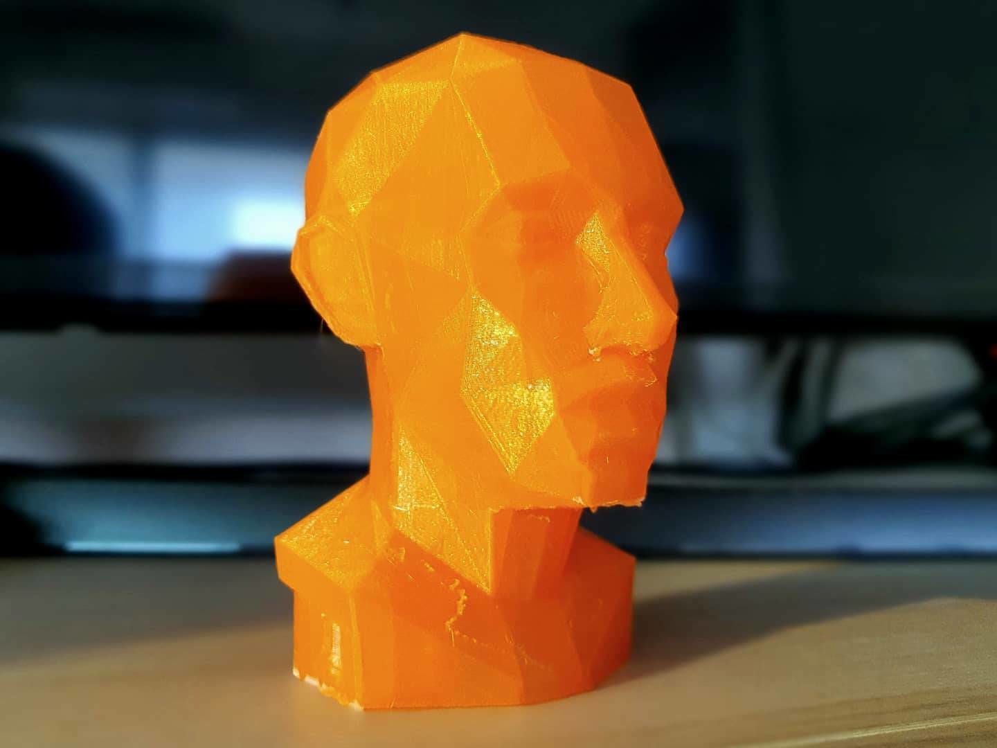 LOW POLYGON PLANE OF HEAD 3D PRINT MODEL 3D model 3D printable | CGTrader