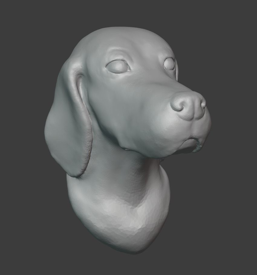 English setter- bust 3D model 3D printable | CGTrader