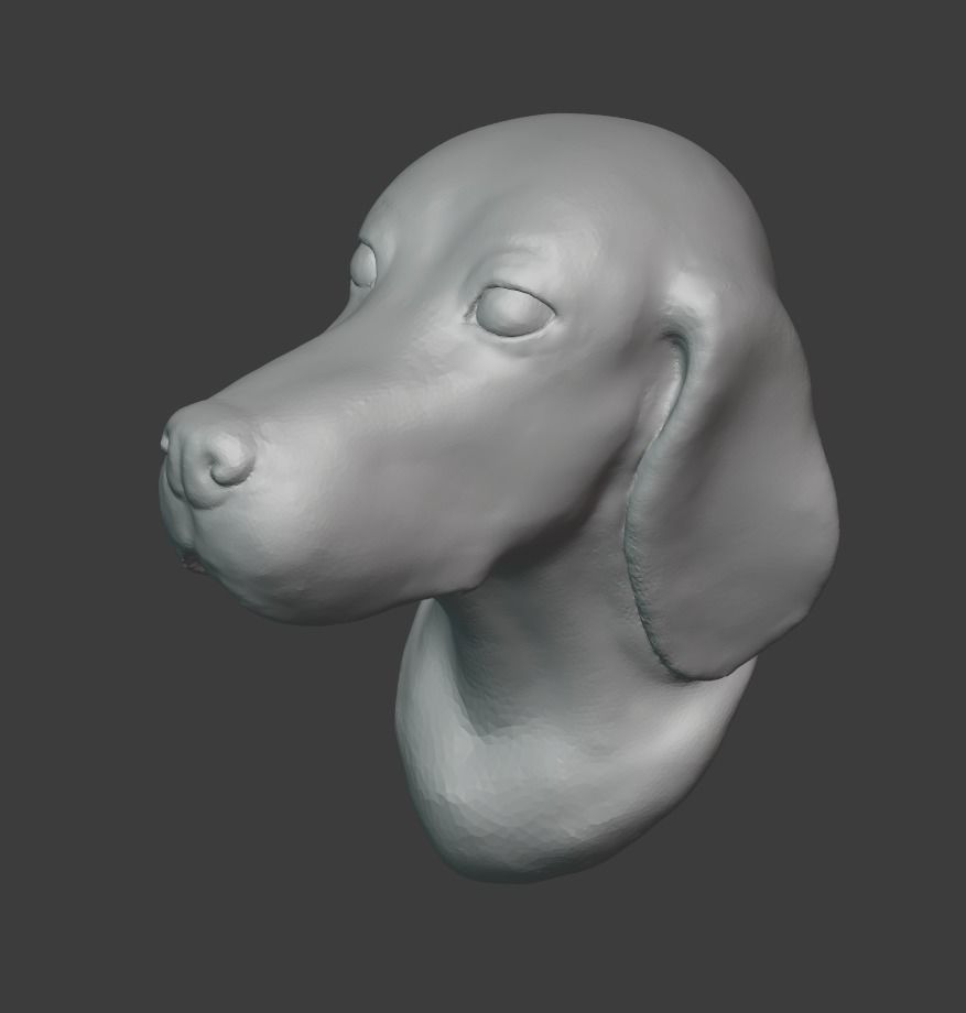 English setter- bust 3D model 3D printable | CGTrader