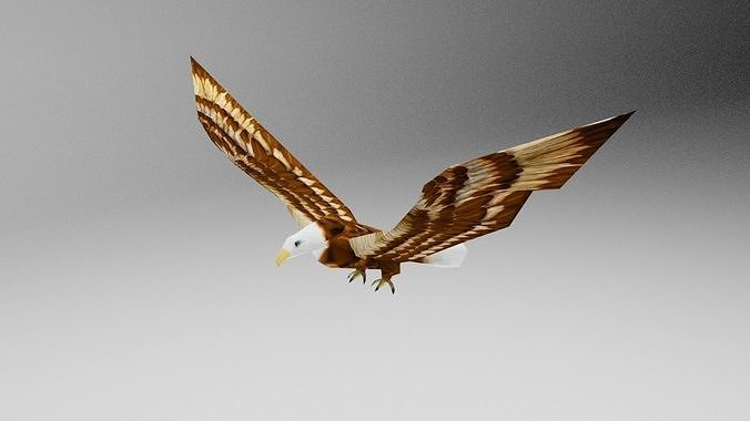 3D model Low Poly Eagle Animated VR / AR / low-poly | CGTrader