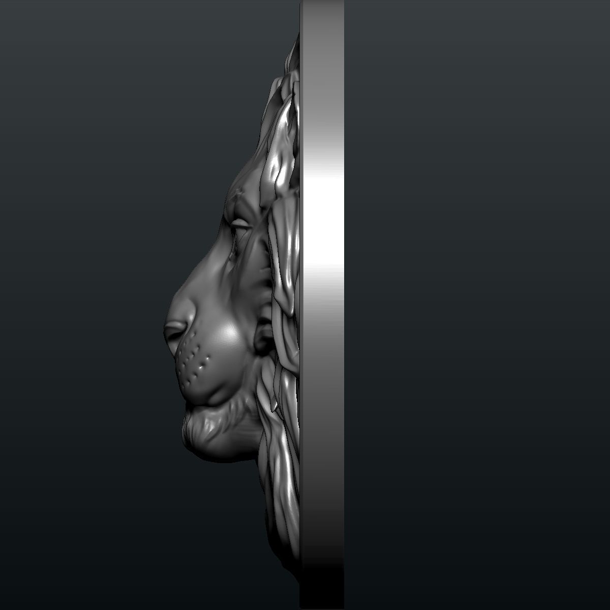 Lion Coin 3D model 3D printable | CGTrader