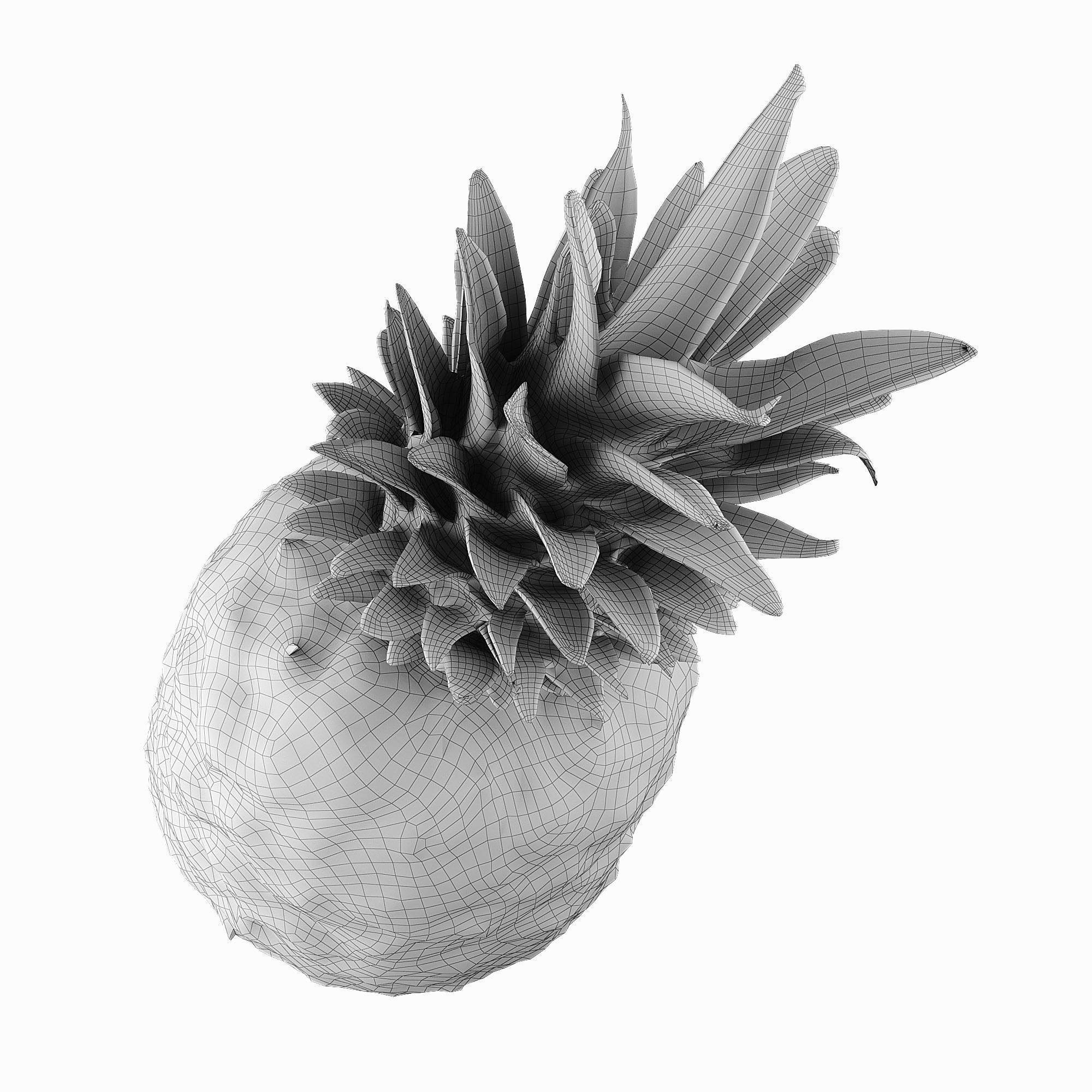 Pineapple 3D model | CGTrader