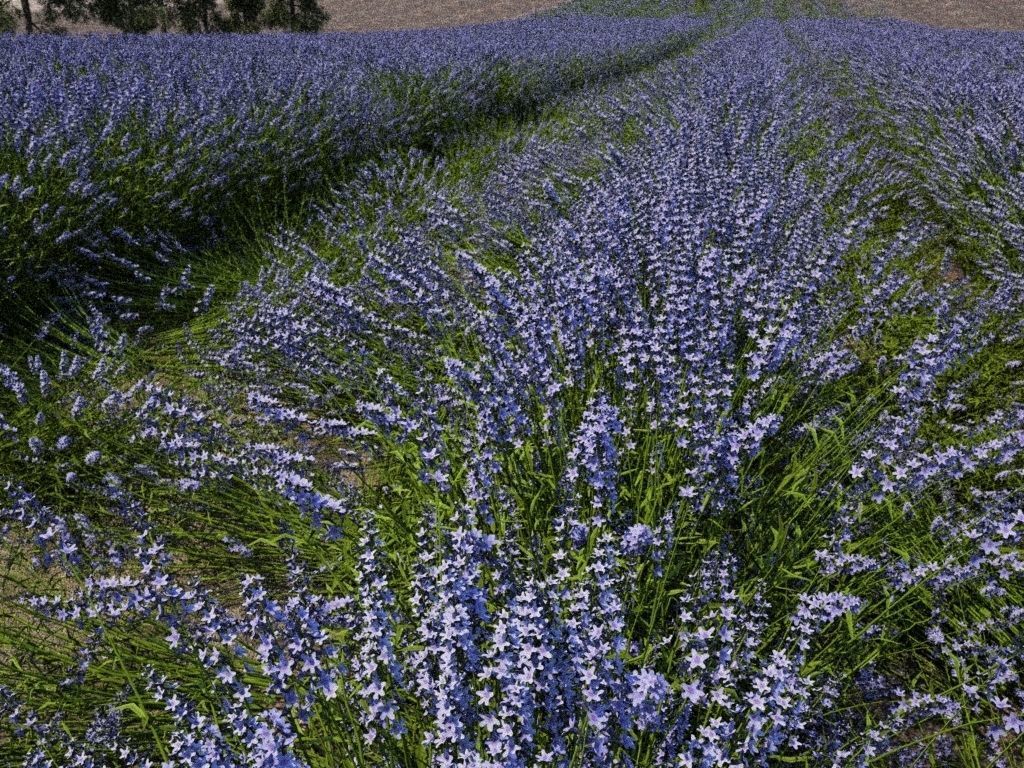 2020 Xfrog Plants Agriculture Library 3D model | CGTrader