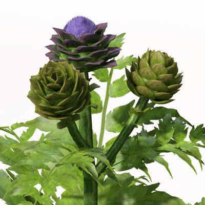 2020 Xfrog Plants Agriculture Library 3D model | CGTrader