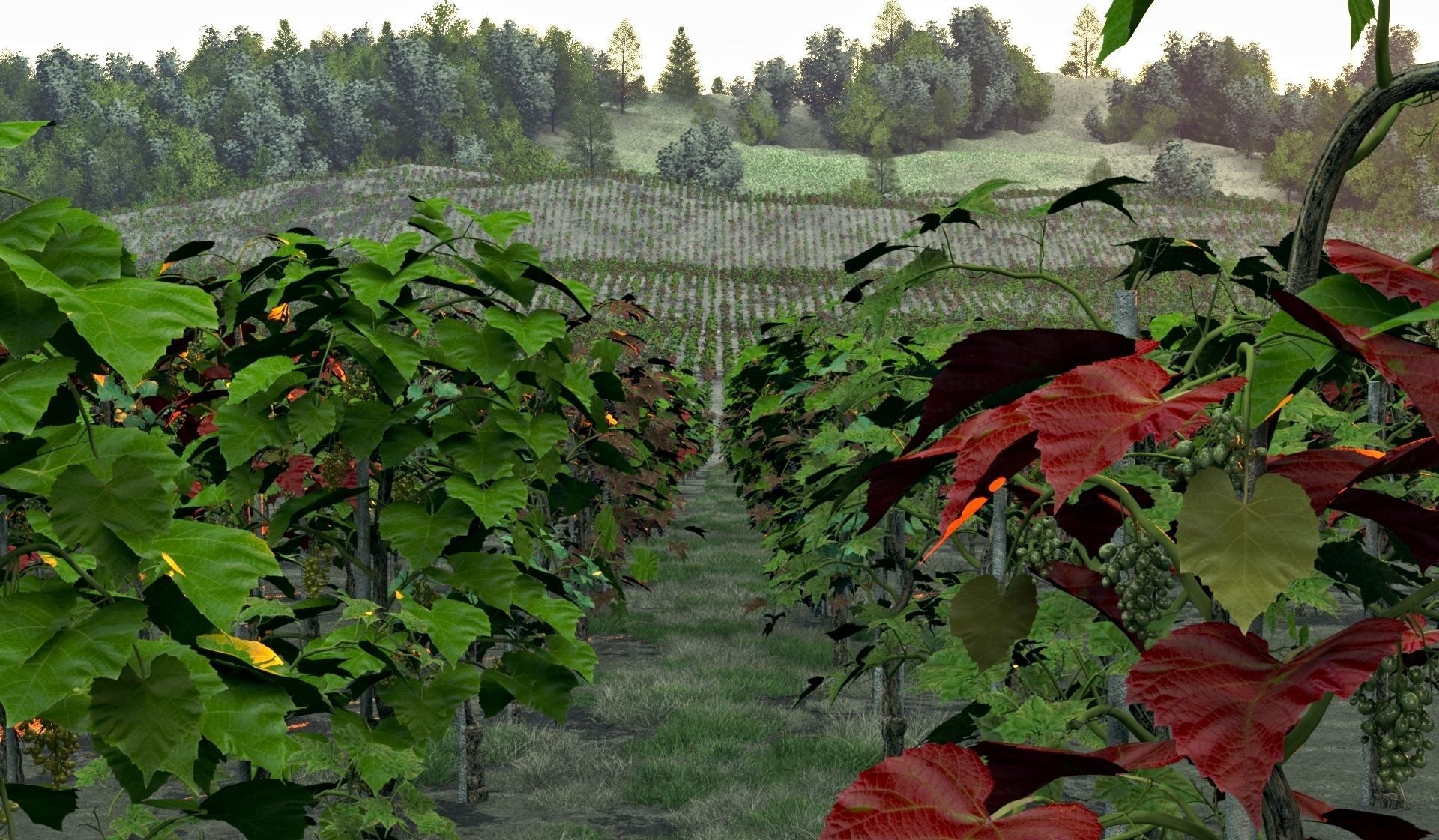 2020 Xfrog Plants Agriculture Library 3D model | CGTrader