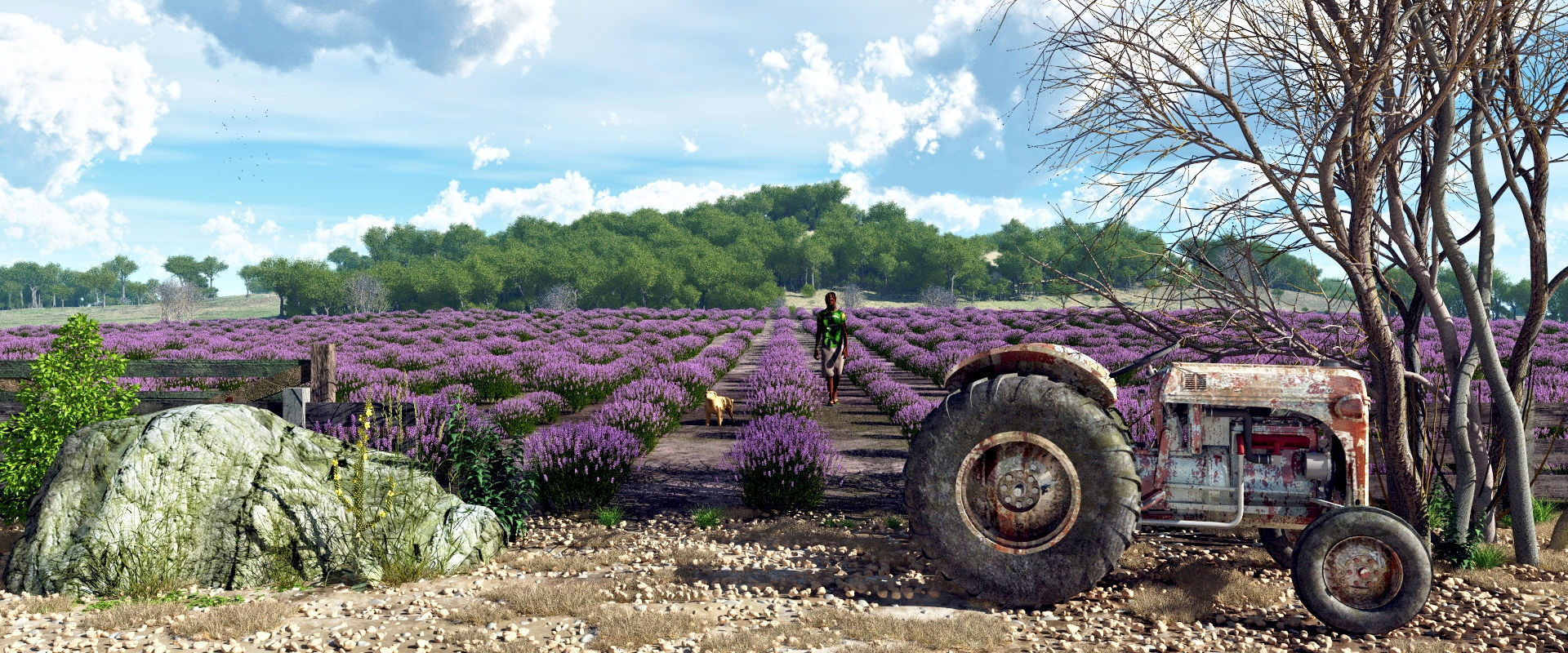 2020 Xfrog Plants Agriculture Library 3D model | CGTrader