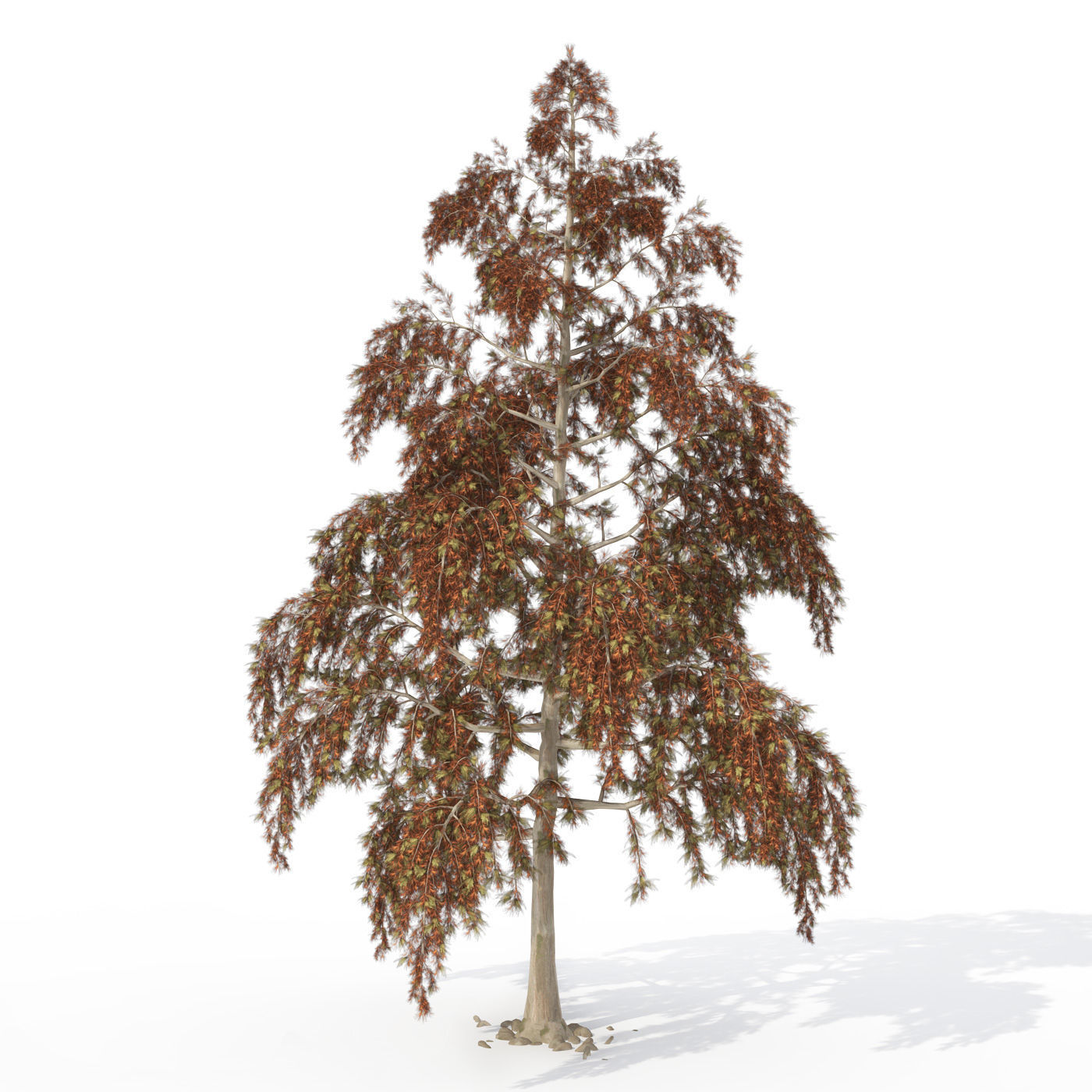 2020 XfrogPlants Autumn Trees Library 3D model | CGTrader